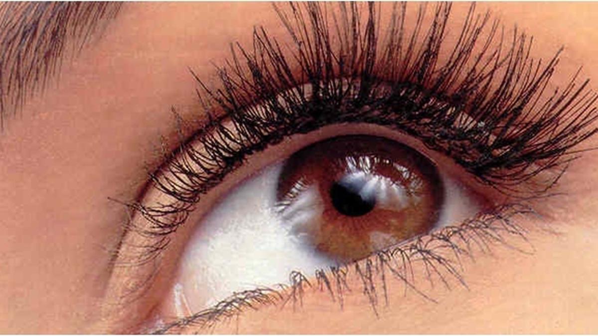 Primbon Kedutan Mata Menurut Medis