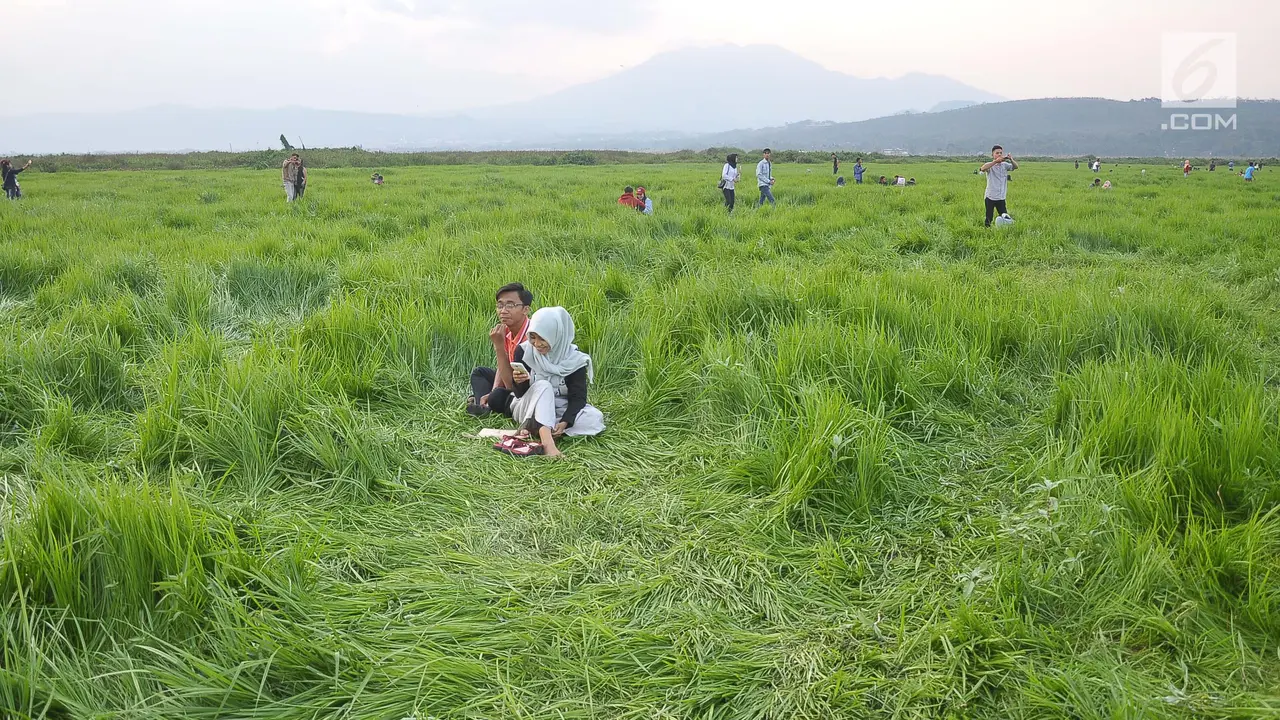 Mengenal Danau Rawa Pening, Wisata Alam Cantik di Jawa Tengah ...