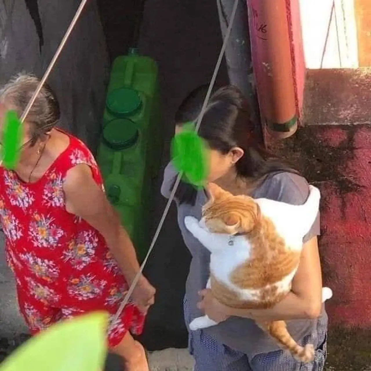 10 Potret Lucu Kucing saat Digendong, Ada yang Dipeluk Hingga Pakai ...