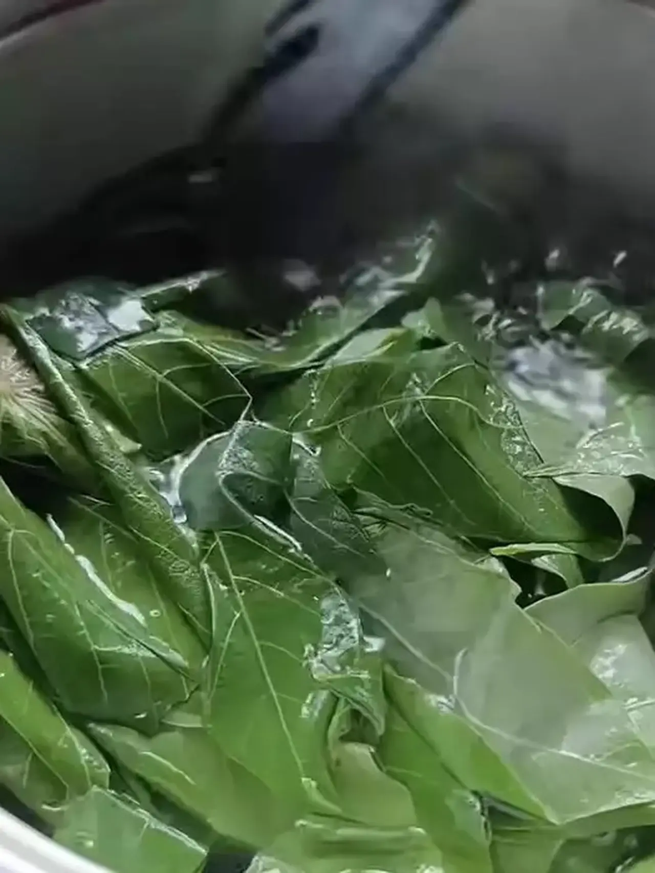 Cara Merebus Daun Singkong selama 7 Menit agar Cepat Empuk dan Tetap ...