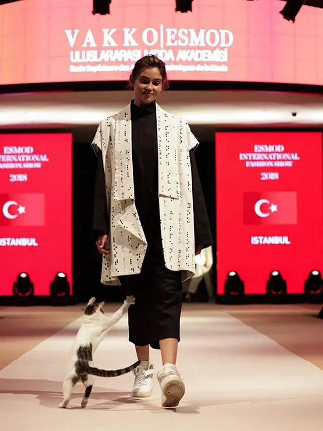 Bak Model, Kucing Ini Berjalan di Catwalk Fashion Show Turki - Citizen6 ...