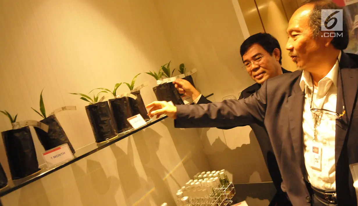 Temuan Bibit Baru Siap Tingkatkan Produktivitas Minyak Kelapa Sawit ...