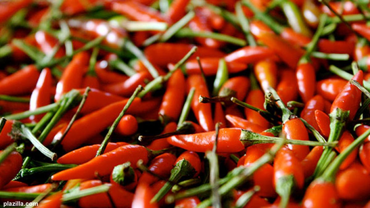 10 Ribu Ton Cabai Impor Bakal Masuk Indonesia