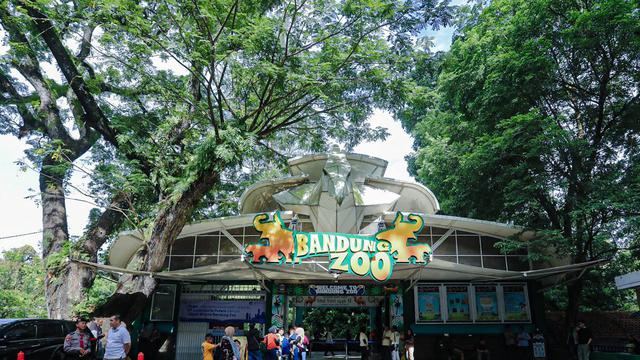 Seluruh Satwa Bandung Zoo Diambil Alih Negara, Kemenhut Pastikan ...