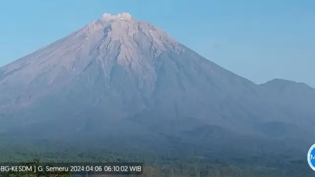 Gunung Semeru Erupsi Lagi, Tinggi Letusan Abu Vulkanik Capai 500 Meter - Surabaya Liputan6.com