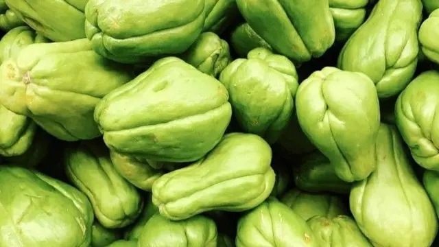 7 Resep Sayur Labu Siam yang Menggugah Selera, Hidangan Sehat yang ...