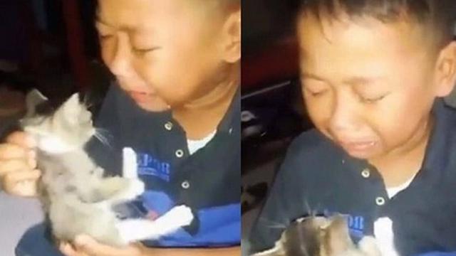 6 Foto Ini Jadi Bukti Cinta Tulus Anak Kecil ke Kucing, Penuh Perhatian ...