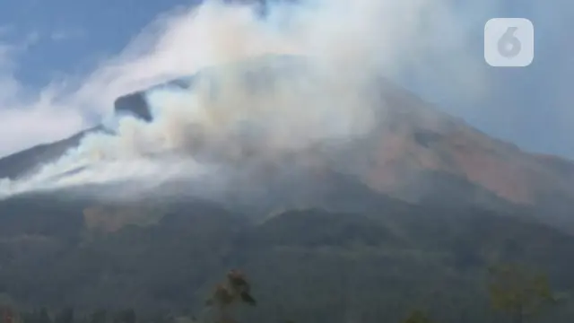 Hutan Gunung Sumbing Dan Lawu Terbakar Ratusan Pendaki Terjebak
