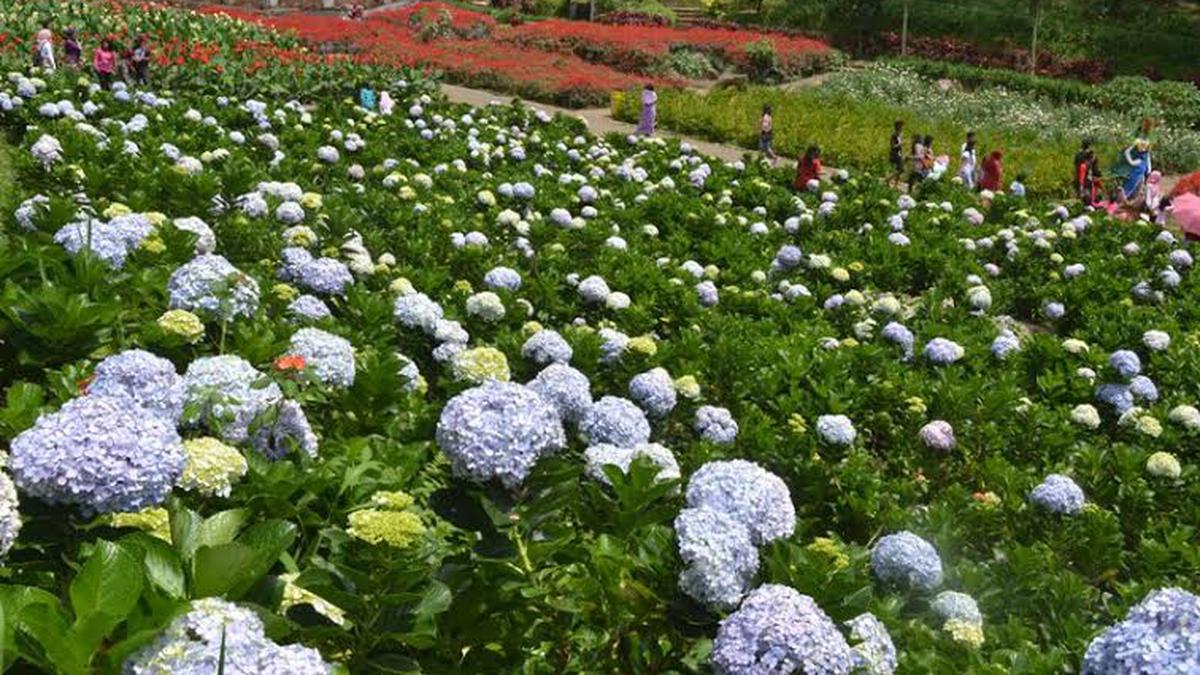 Menikmati Selecta, Wisata Legendaris di Kota Batu