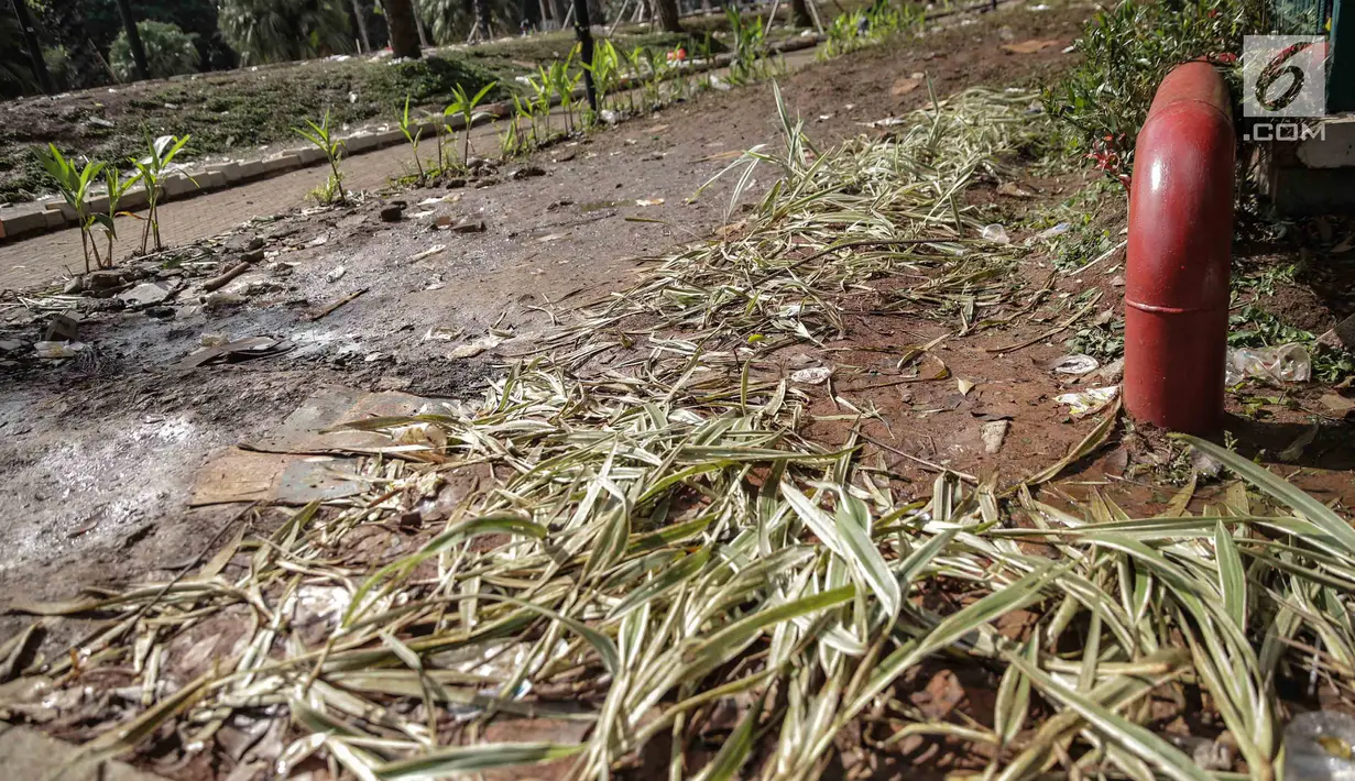 FOTO: Memperihatinkan, Begini Kondisi Rumput dan Pohon di GBK Setelah ...
