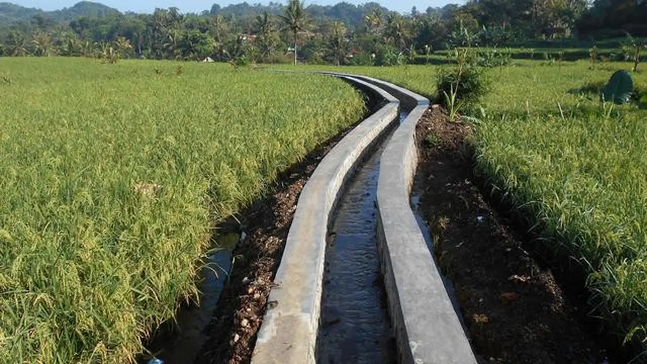 Irigasi adalah Pengairan Lahan Pertanian, Kenali Jenis dan Fungsinya ...