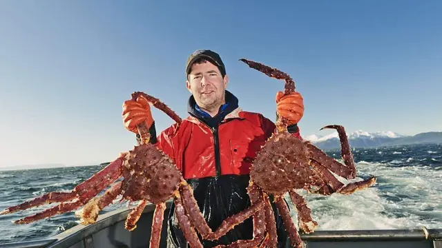 5 Jenis Kepiting Terbesar di Dunia, Ada yang Mencapai 39 Kg - Citizen6 ...