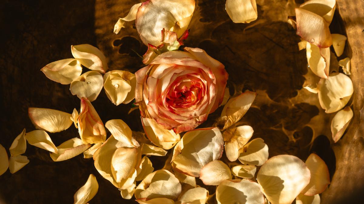 How To: Cara Mengaplikasikan Air Mawar ke Wajah untuk Kulit yang Lebih ...