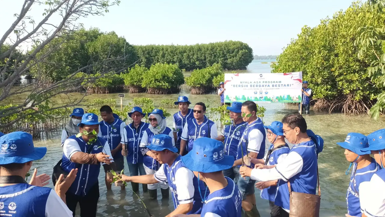 Dukung Net Zero Emission, Transjakarta Tanam Ribuan Bibit Mangrove di Pulau Harapan, Kepulauan ...