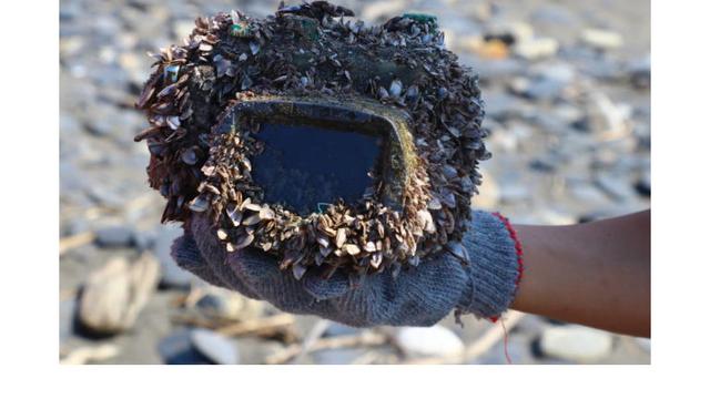 5 Parasit Ini Bisa Serang Manusia, Salah Satunya Bikin Anggota Tubuh ...