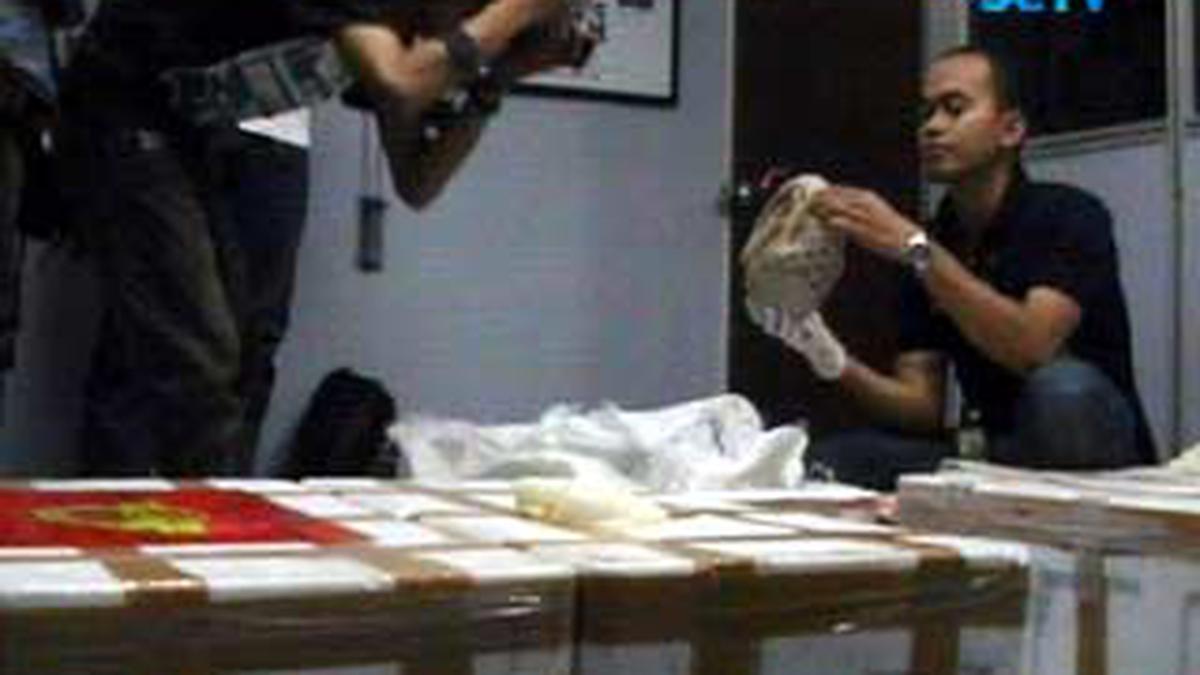 Penyelundupan Daging Trenggiling Digagalkan - News Liputan6.com