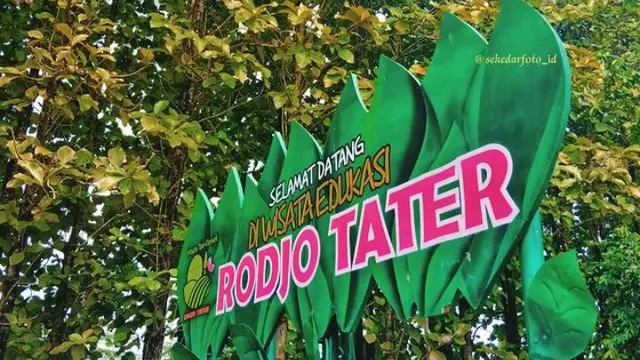 Main Air ke Rodjo Tater Tegal, Rekomendasi Tempat Wisata di Liburan ...