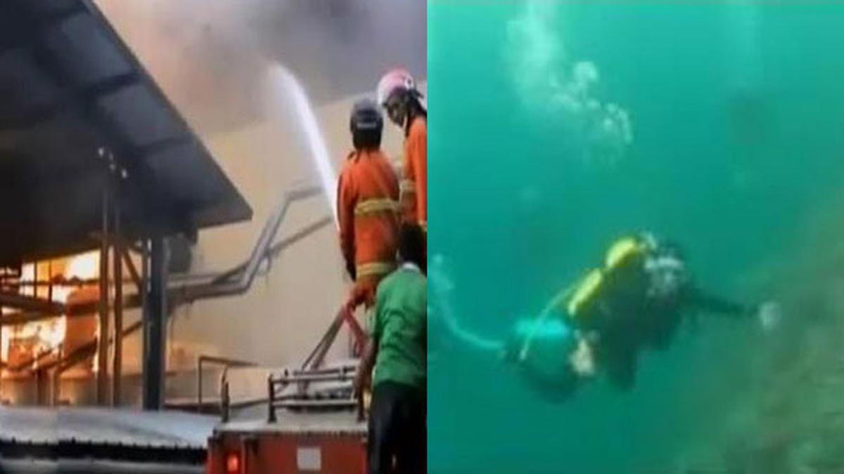 Kebakaran Pabrik Kayu hingga Ekspedisi Sejuta Terumbu Karang - TV ...