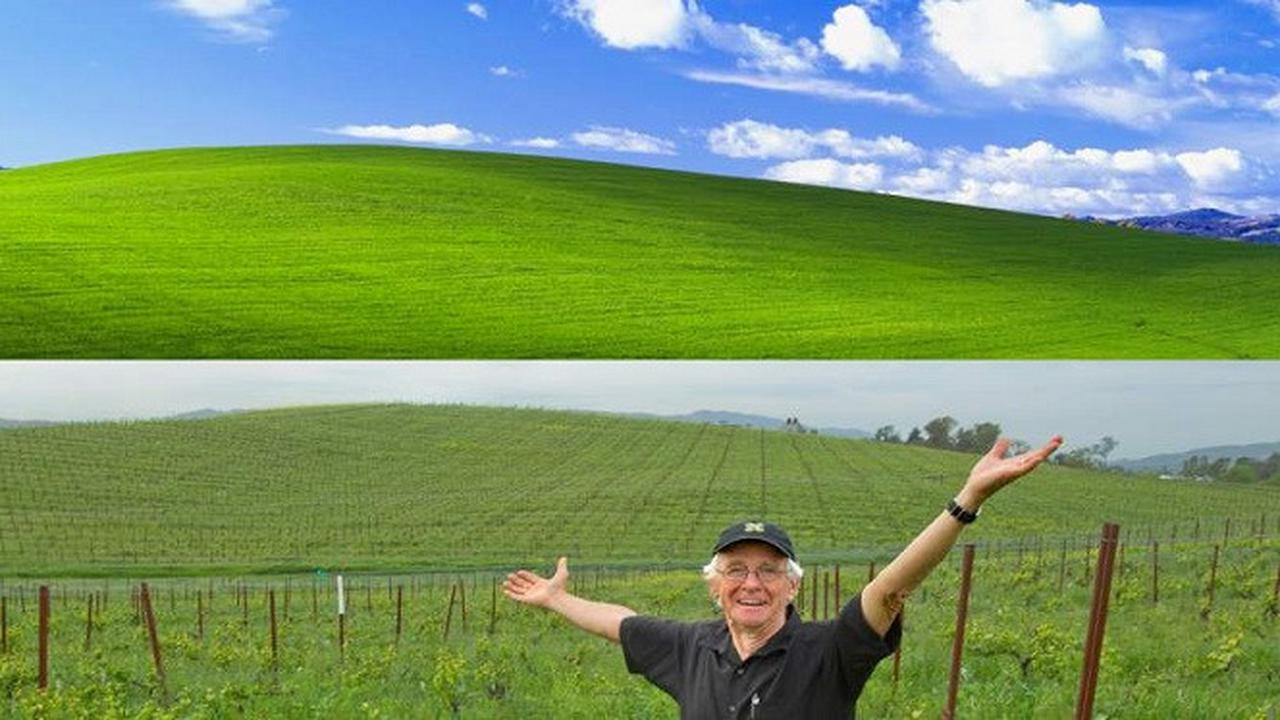 Kisah di Balik Pemotretan Wallpaper Windows XP Rp 1,4 Miliar