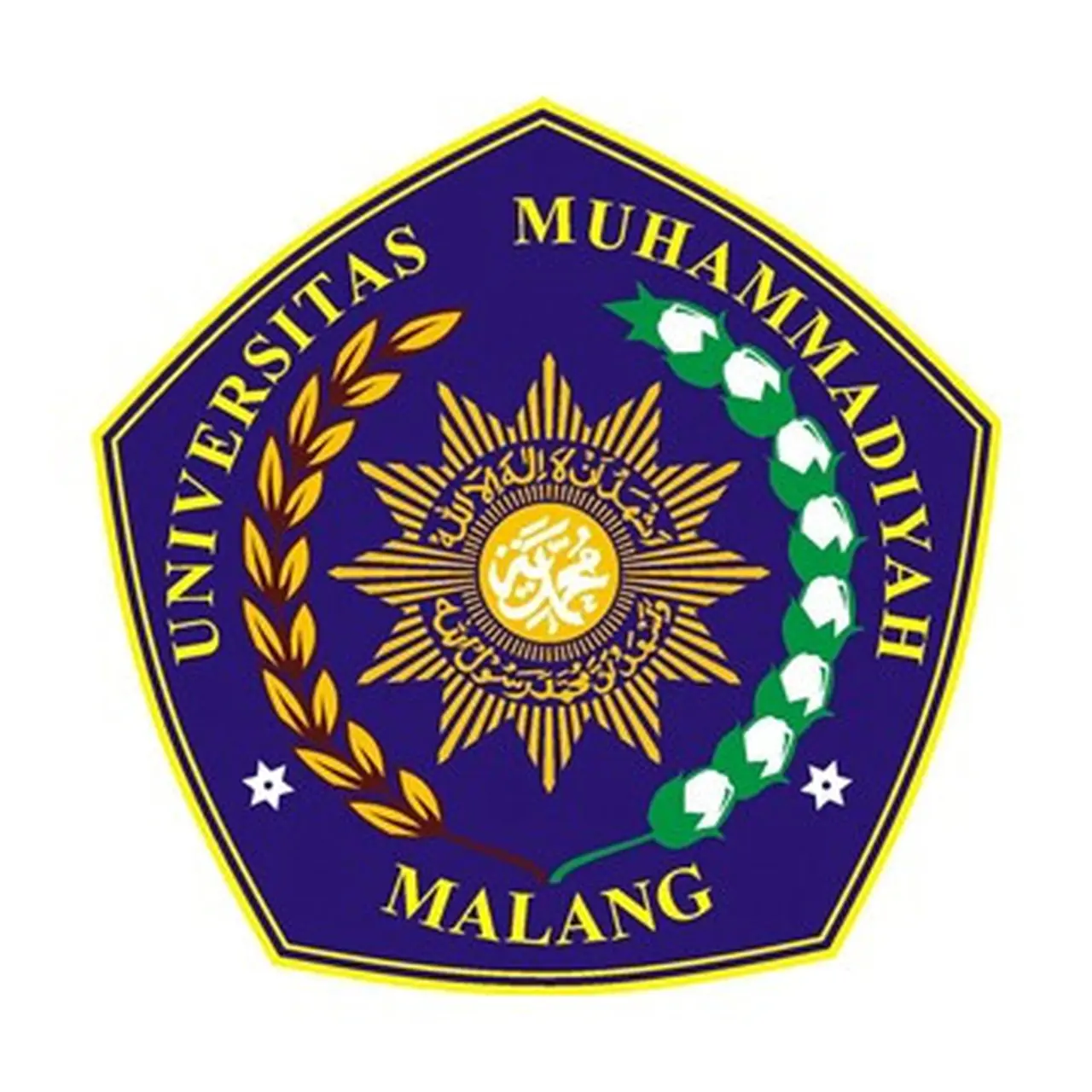 Profil Universitas Muhammadiyah Malang (UMM), Ketahui Jurusan dan Biaya ...