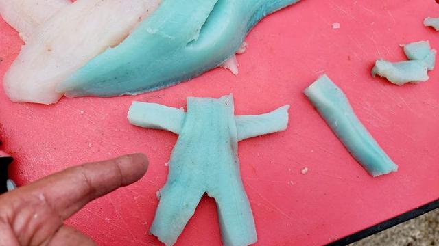 Spesies Ikan Ini Punya Daging Berwarna Biru Neon, Begini Kata Ilmuwan