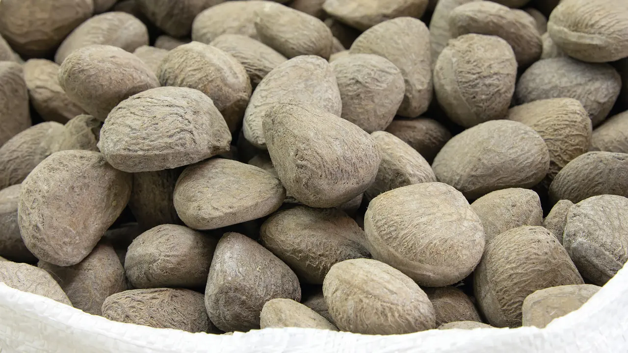 Bahan Utama Rawon, Ini 5 Manfaat Kluwek yang Jarang Diketahui - Hot Liputan6.com