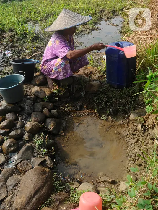 Potret Warga Bogor Andalkan Sumber Air Mirip Kubangan - Foto Liputan6.com