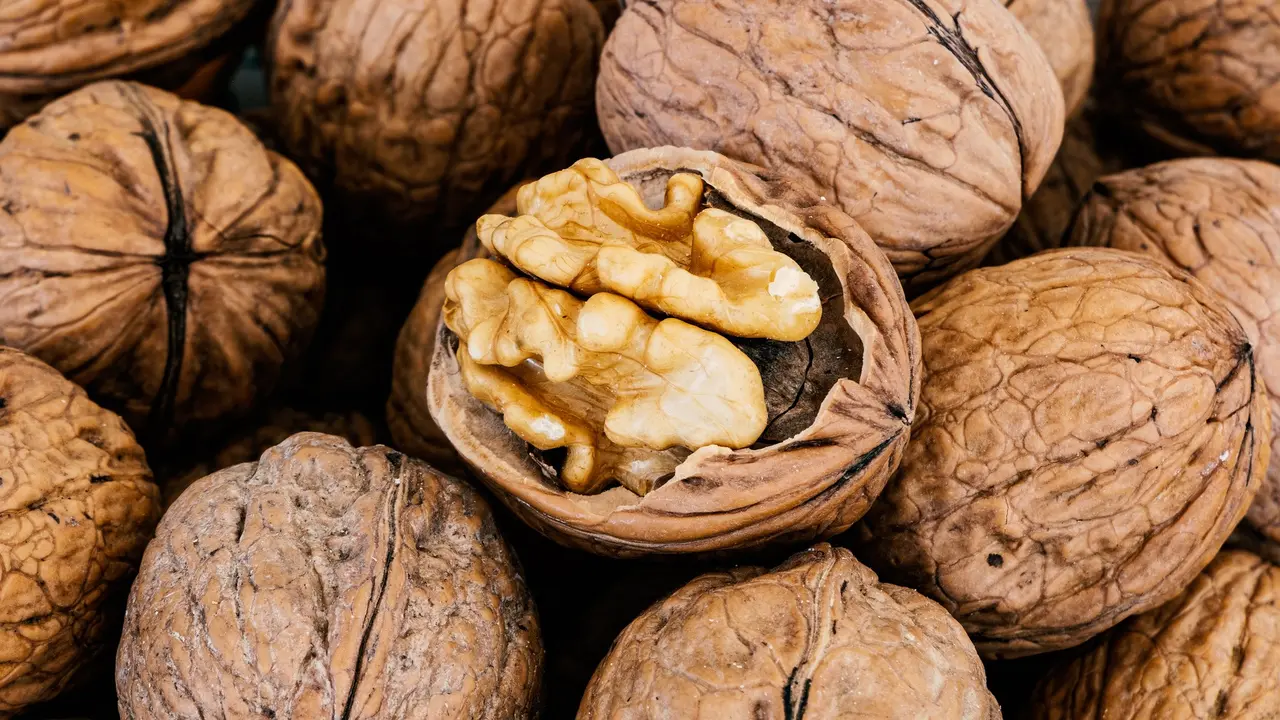 12 Manfaat Kacang Kenari untuk Kesehatan, Kaya Antioksidan - Hot ...