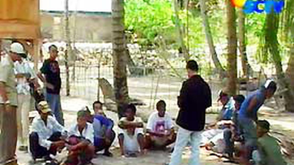 Judi Sabung Ayam Digerebek Polisi - News Liputan6.com