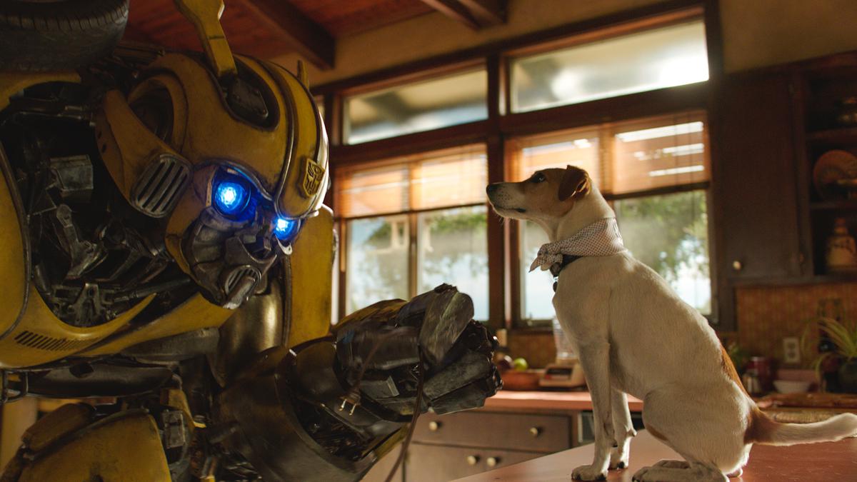 Dua Jam yang Menyenangkan Bersama Si Imut Bumblebee - ShowBiz Liputan6.com