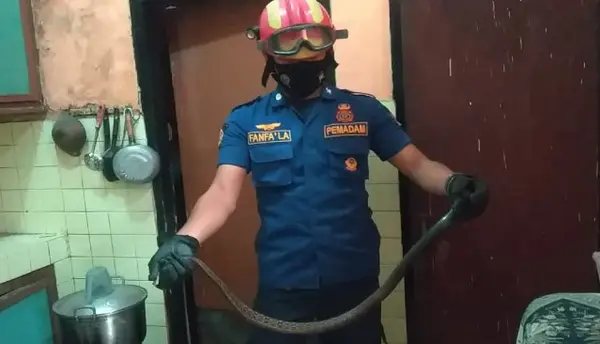 Simpai Adalah Gelang-Gelang dari Rotan atau Hula Hoop, Ketahui Cara ...