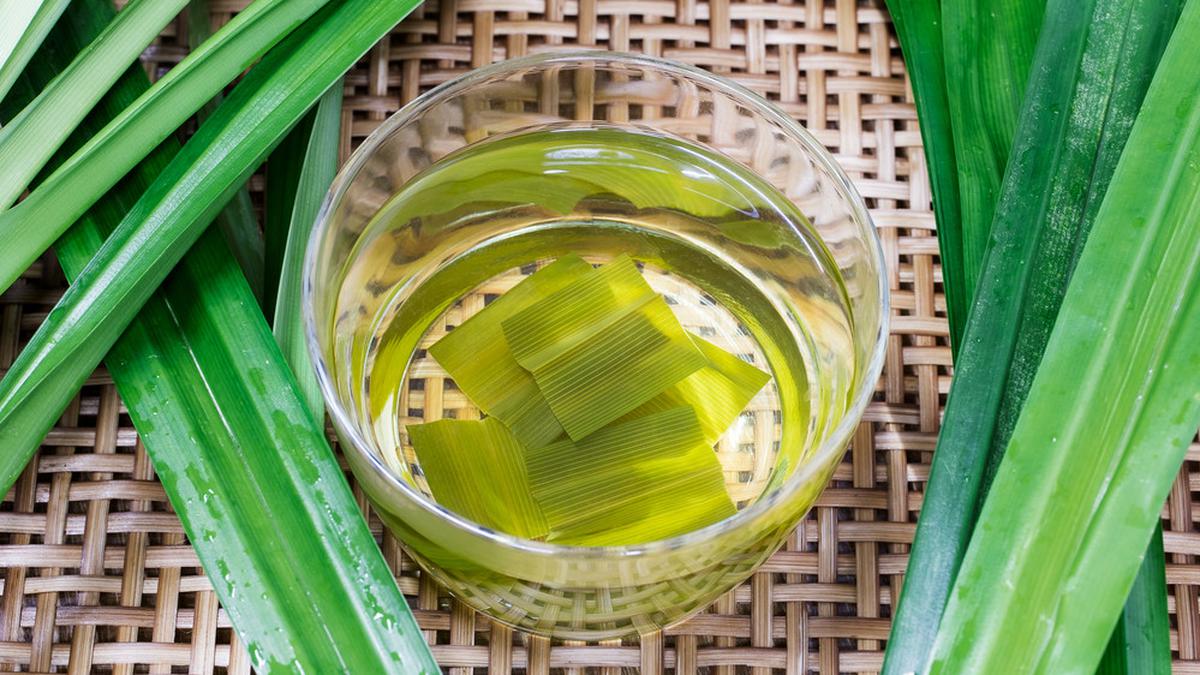 5 Resep Teh Pandan untuk Kolesterol dan Darah Tinggi - Food Fimela.com