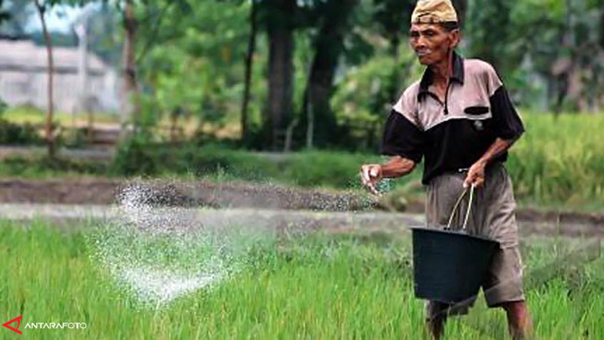 Pupuk Indonesia Raup Omzet Rp 28,6 Triliun dalam 6 Bulan