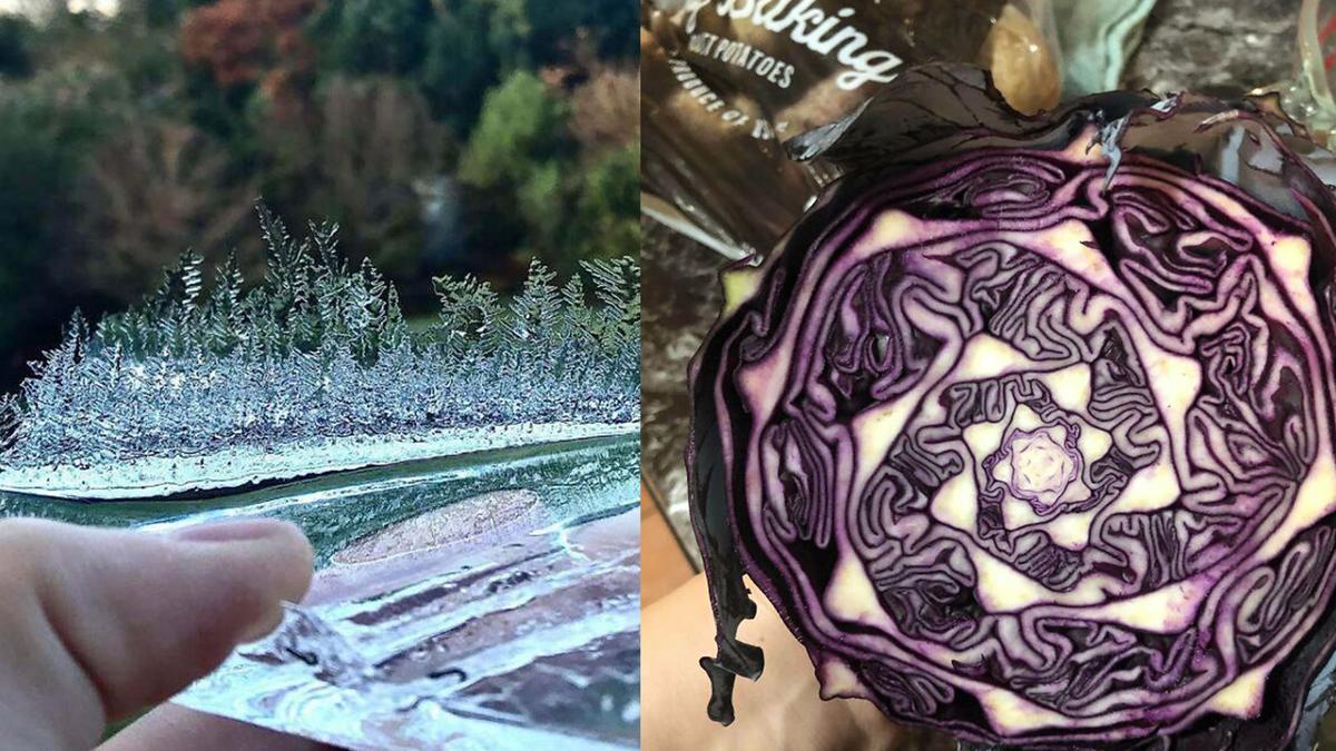 Bikin Takjub, 10 Momen Kebetulan yang Tercipta oleh Alam - Citizen6 ...