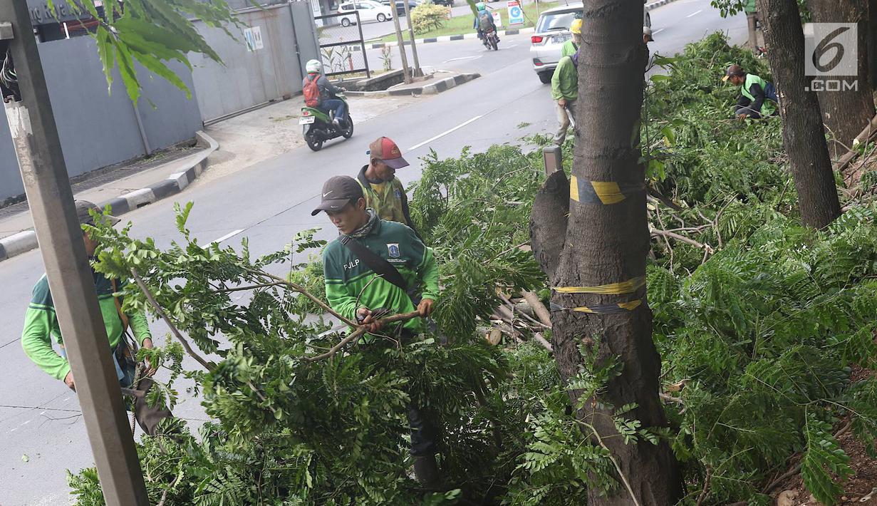 FOTO: Antisipasi Musim Hujan dan Angin Kencang, Petugas Pangkas Pohon ...