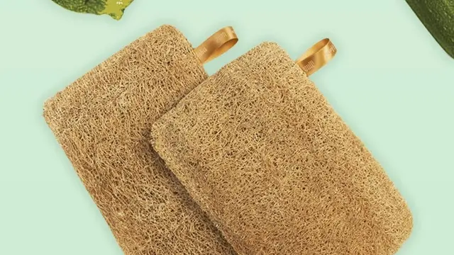 Sekelumit tentang Loofah Si Spons Alami, Bisa untuk Mandi dan Cuci ...
