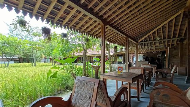 20 Tempat Makan View Sawah di Jogja, Makan Enak Sekalian Lepas Penat