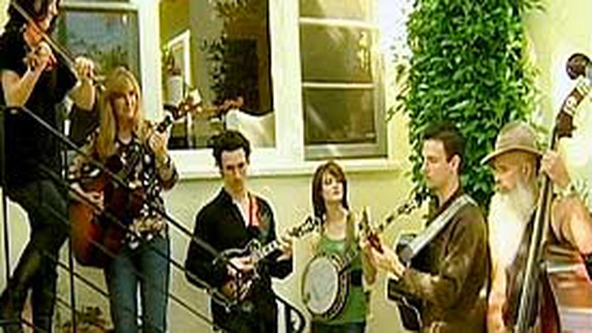 Cherryholmes, Dari Nol Hingga Jadi Ikon Bluegrass