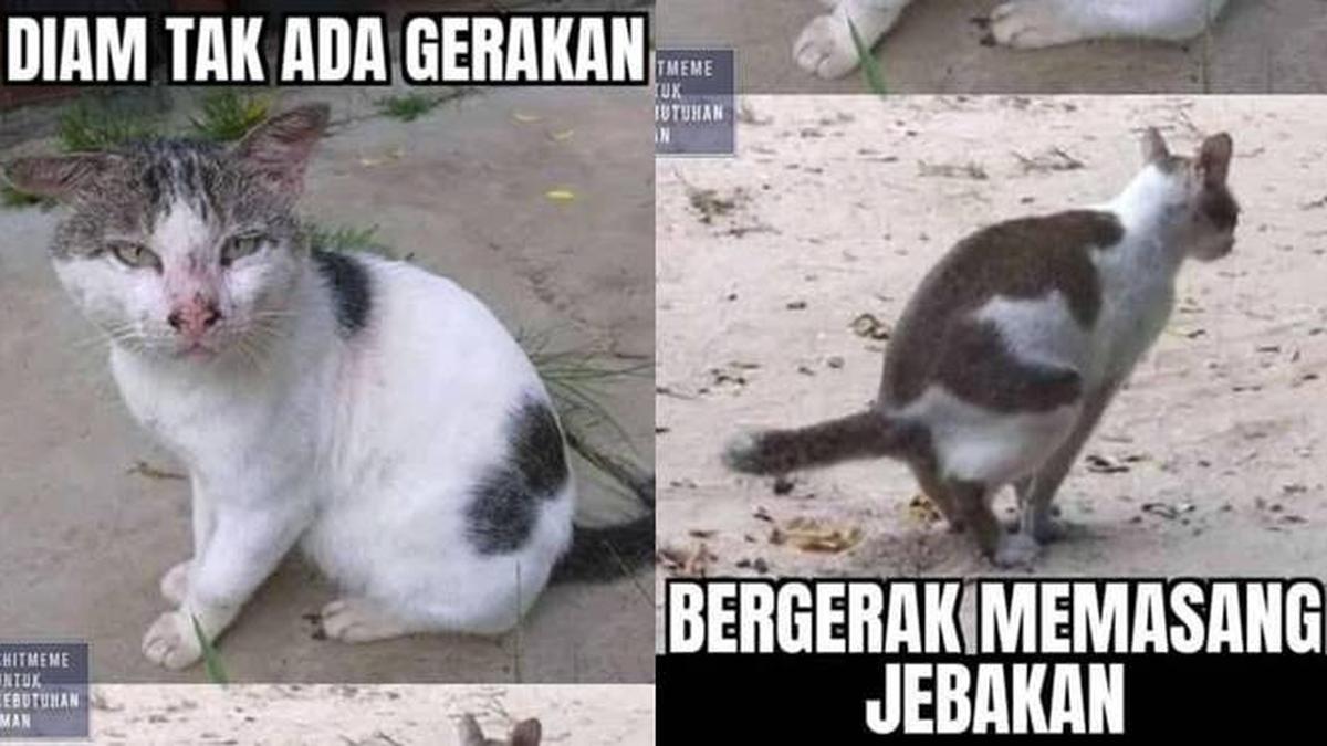 7 Meme Diam Bergerak Ini Banyak Terjadi di Dunia Nyata