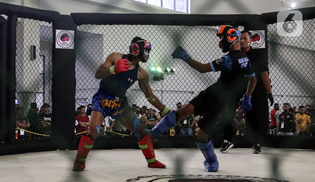 300 Atlet Ikuti Kejuaraan Nasional IBCA - MMA 2022 - Foto Liputan6.com