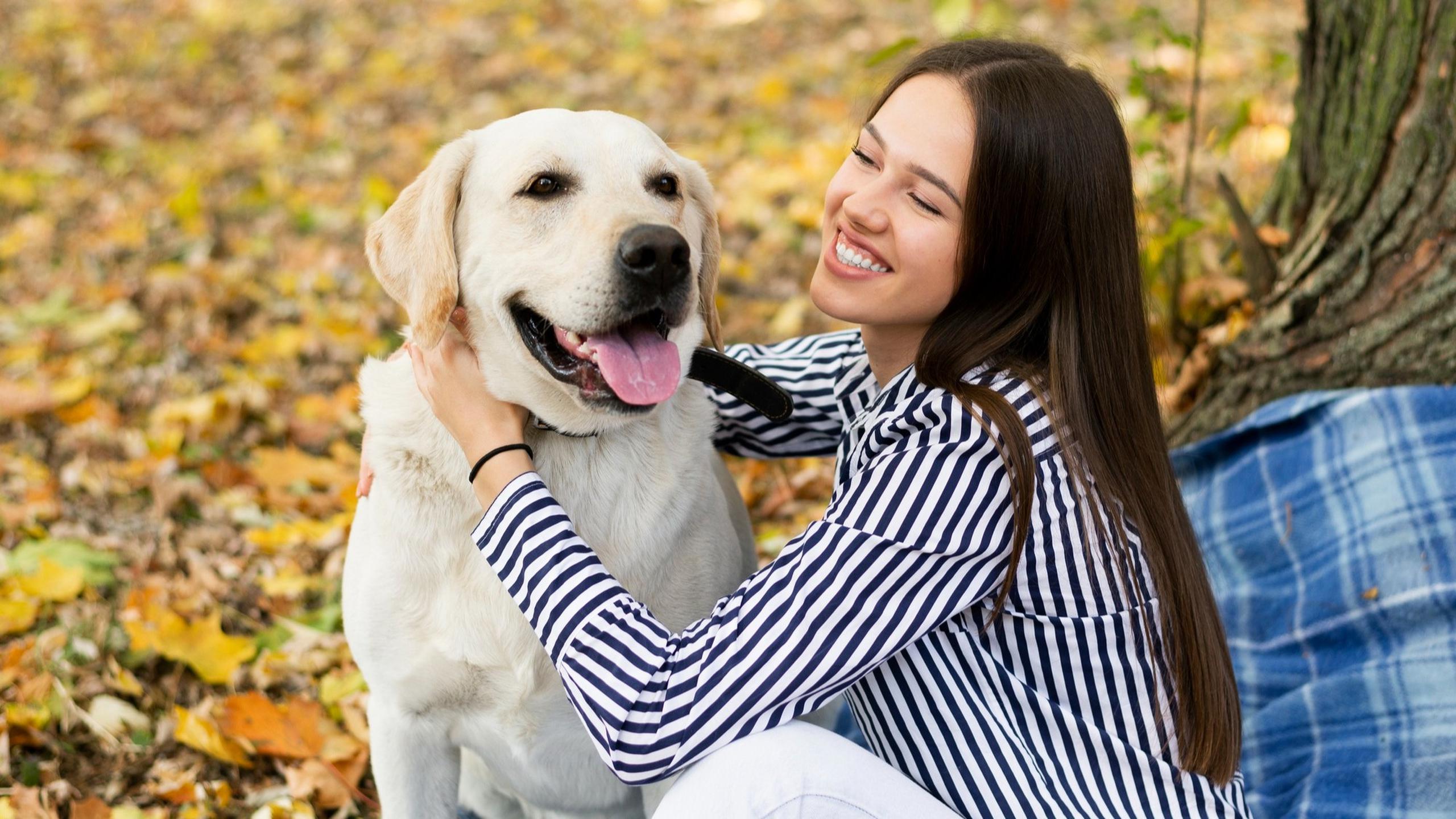 Top 10 Friendliest Dog Breeds That Will Make You Fall in Love