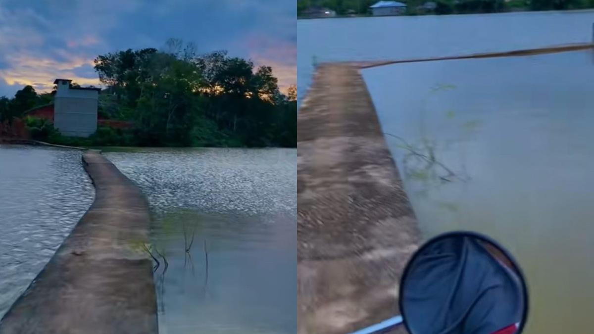 Viral Pemotor Wanita Seberangi Jembatan Sempit di Tengah Danau, Bak Uji ...