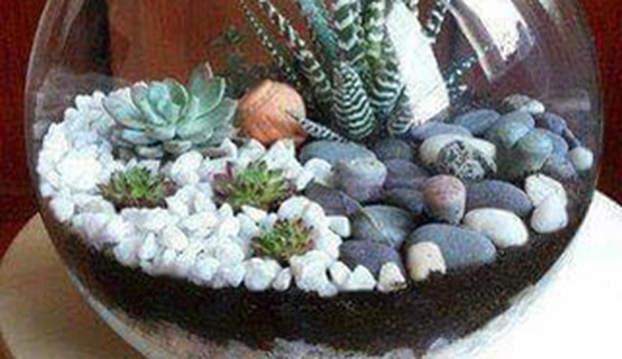 Inspirasi Terarium Cantik Untuk Menghias Meja Kerja - Photo Fimela.com