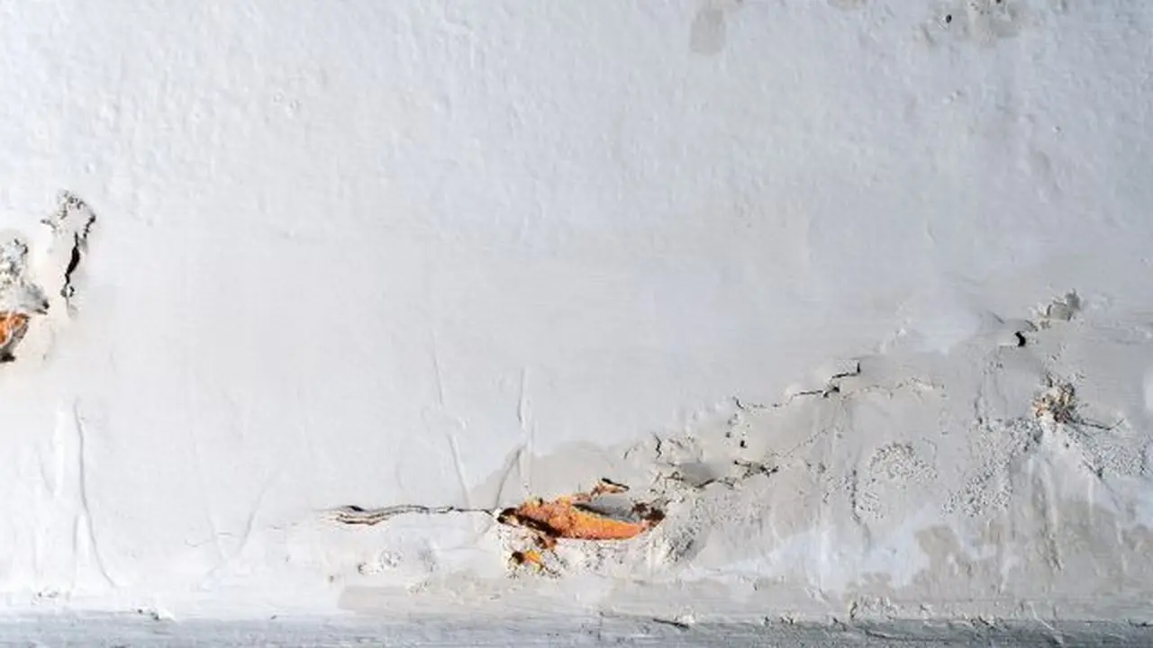 Masalah Tembok Bocor di Rumah Tak Kunjung Usai? Begini Jurus Jitu ...