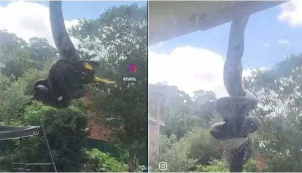 7 Film Indonesia Bertema Pernikahan, dari Poligami hingga Perceraian - Hot Liputan6.com