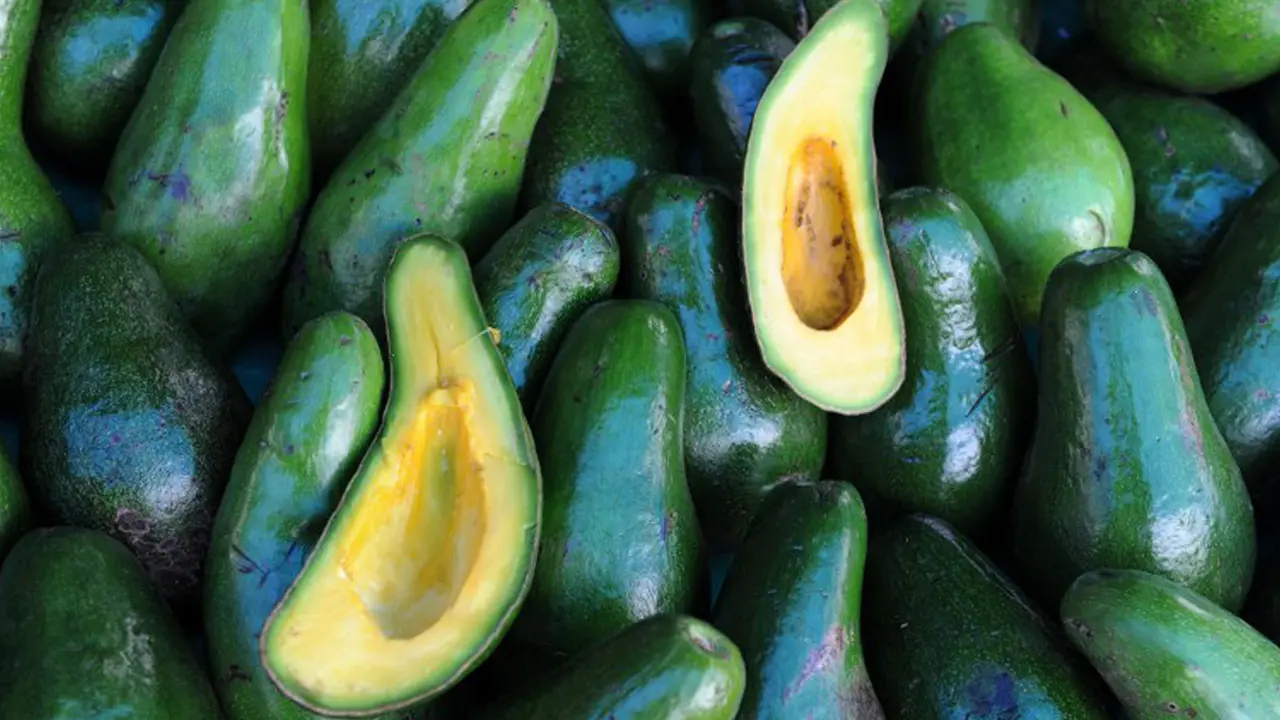 8 Manfaat Lemak Bagi Tubuh yang Wajib Diketahui, Pahami Jenis-jenisnya ...