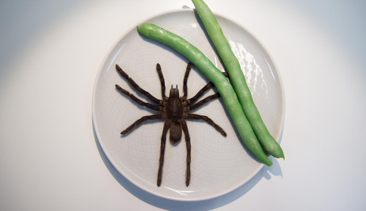 FOTO: Deretan Makanan Paling Menjijikan di Dunia - Foto Liputan6.com