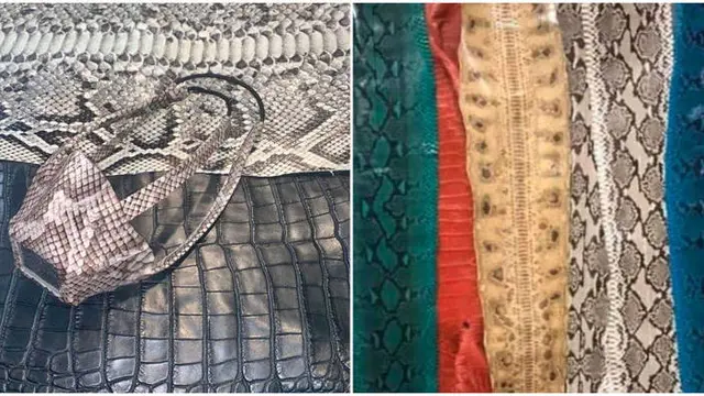 Hanya untuk Gaya, Masker Kulit Ular dan Buaya Dibanderol Rp 1,8 Juta ...