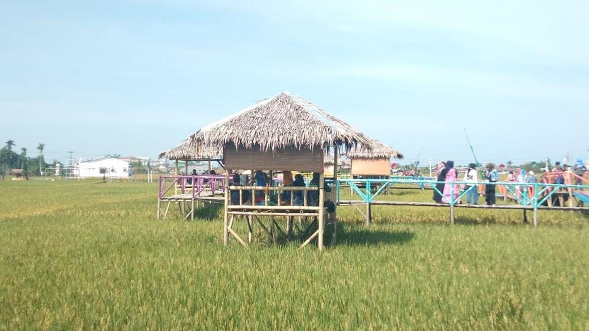 6 Fakta Menarik Deli Serdang yang Sempat Jadi Wilayah Kekuasaan Dua ...