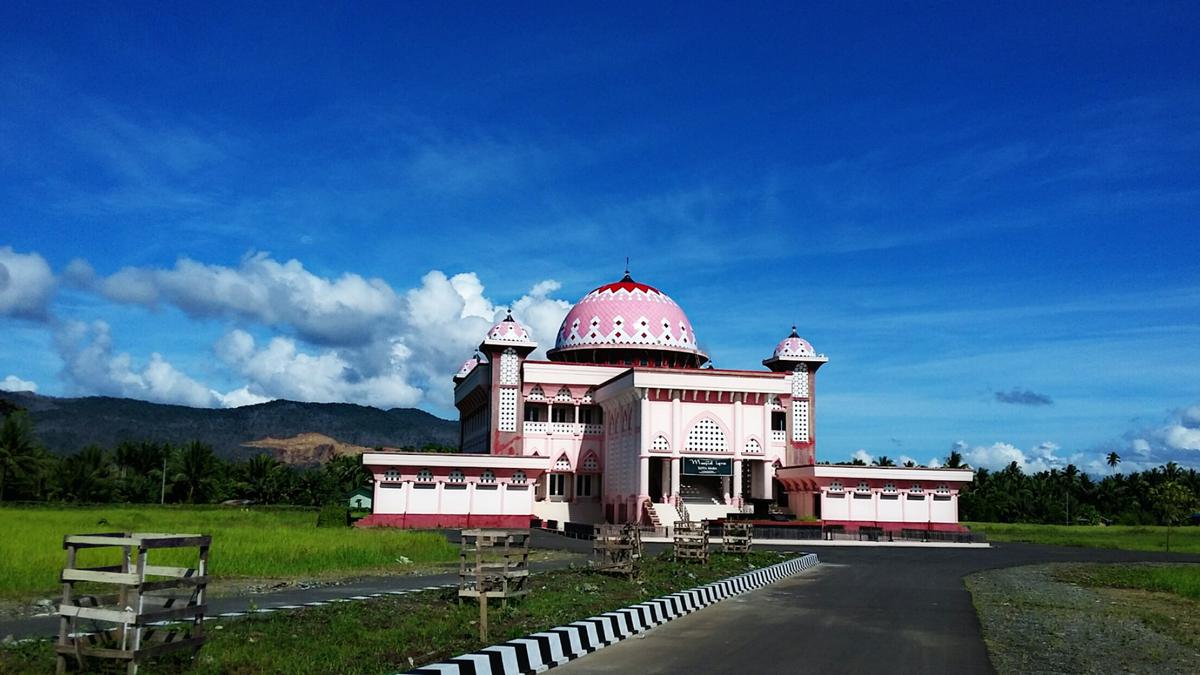 Cerita Pagi dari Petugas Taman Kota Mati Halmahera Timur - Regional ...